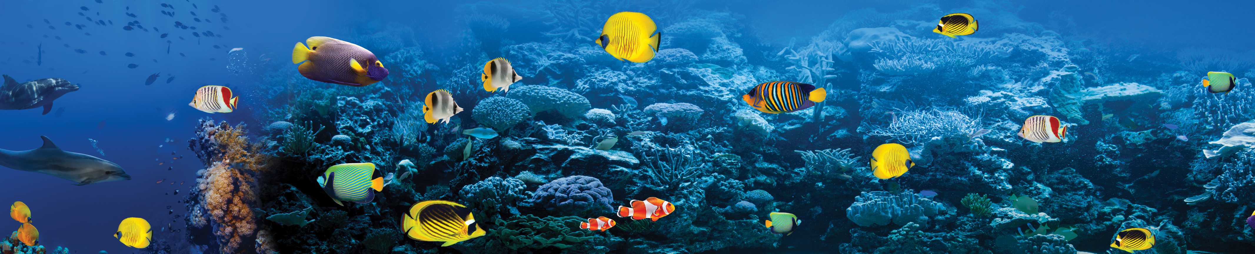 Diverse - geampersonalizat.ro