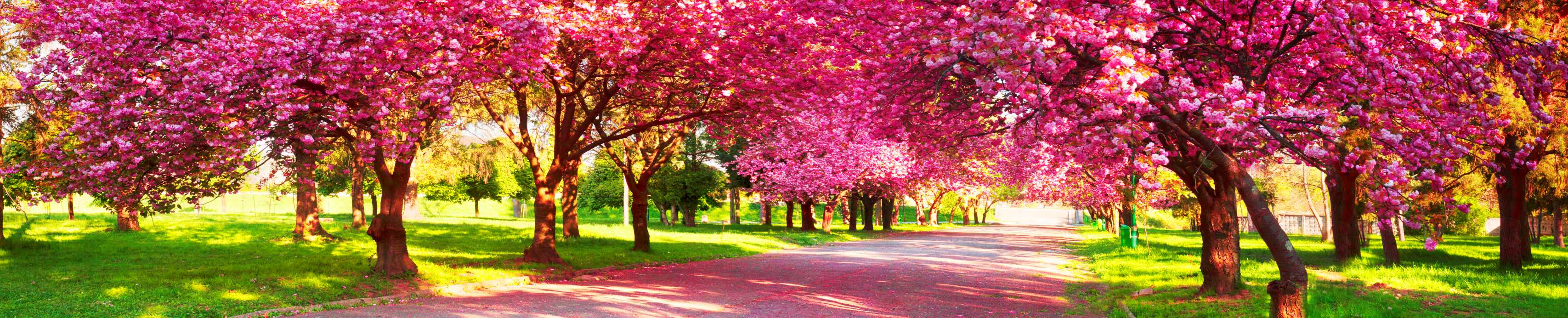 sticla personalizata bucatarie - geampersonalizat.ro