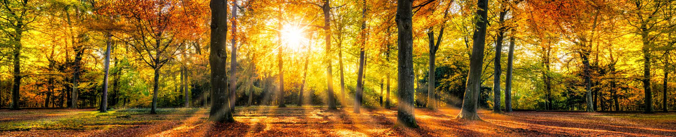 sticla personalizata bucatarie - geampersonalizat.ro